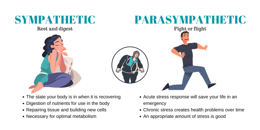 Can You Gain Fat From Stress? | MD Diet
