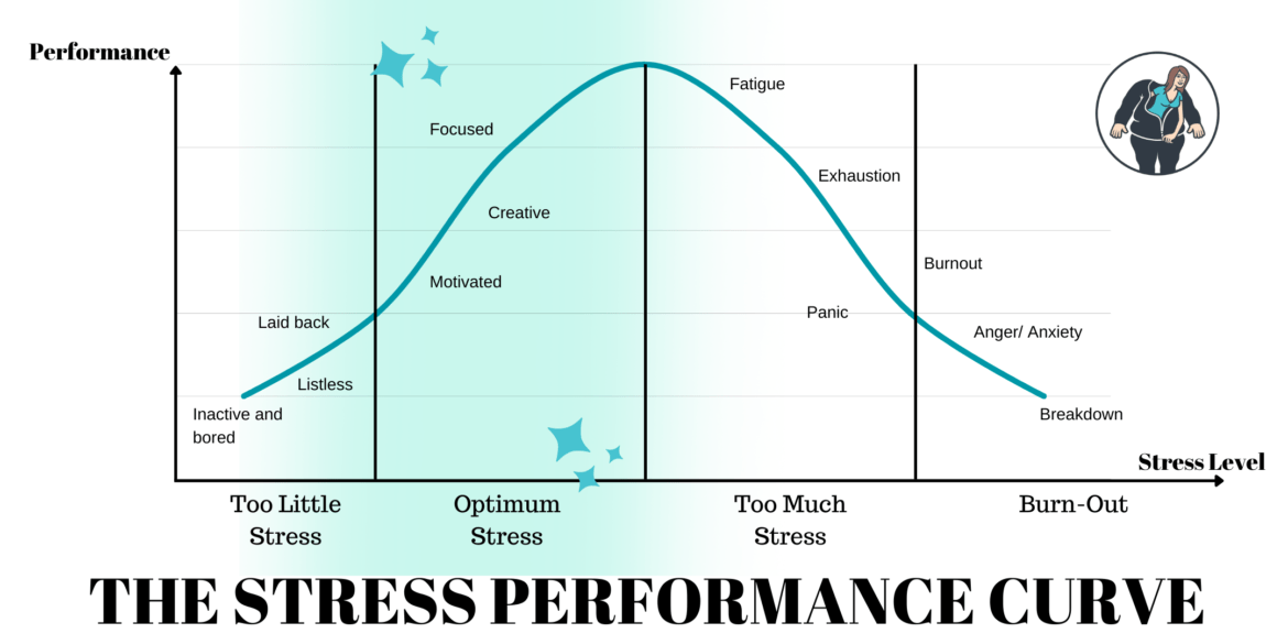 Can You Gain Fat From Stress? | MD Diet