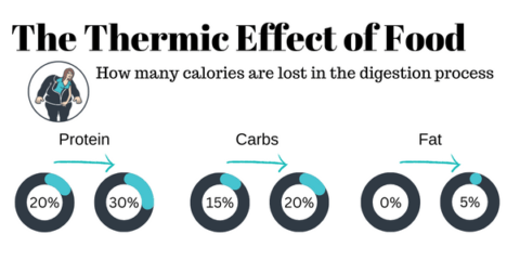 What are the 3 Macronutrients? | MD Diet